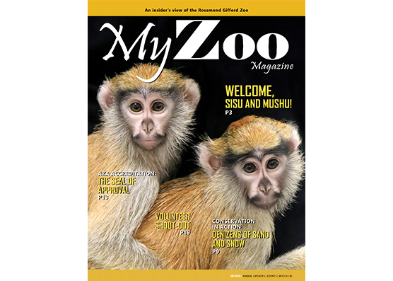 MyZoo Magazine