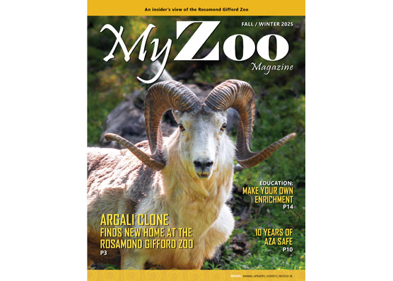 MyZoo Magazine