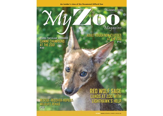 MyZoo Magazine