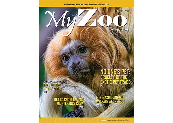 MyZoo Magazine