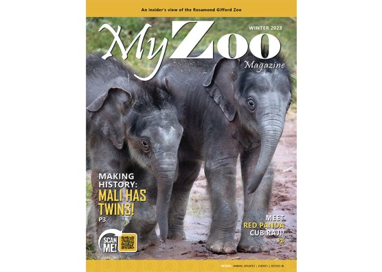 MyZoo Magazine