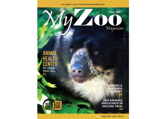 MyZoo Magazine