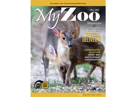 MyZoo Magazine