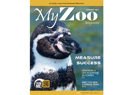 MyZoo Magazine