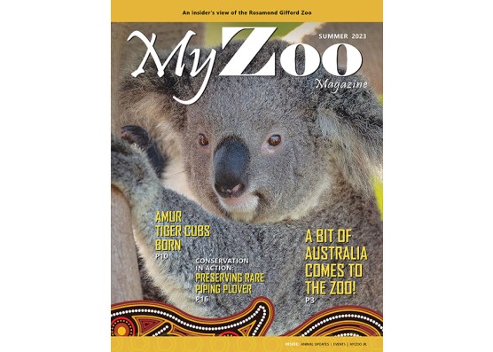 MyZoo Magazine
