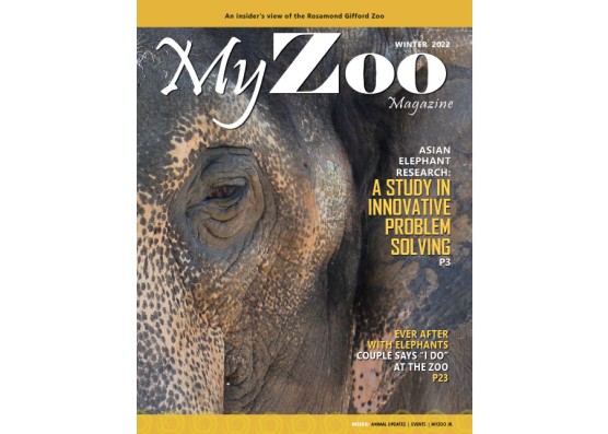 MyZoo Magazine