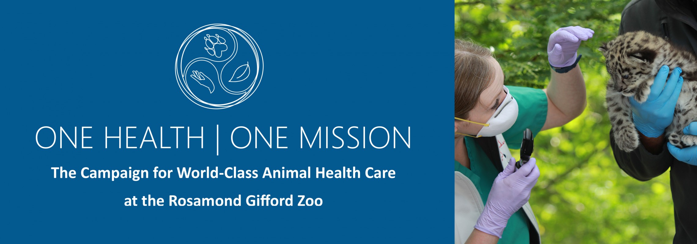 Home [www.rosamondgiffordzoo.org]