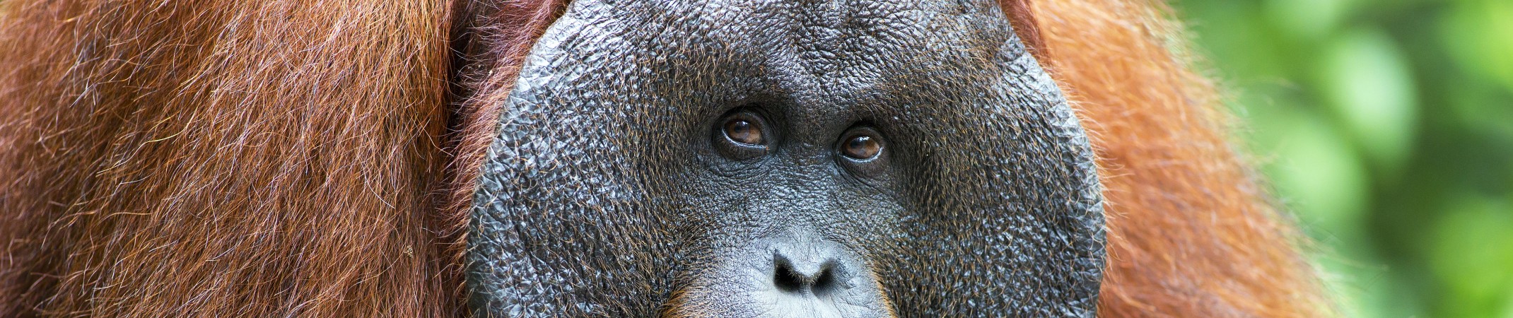 Halloween is Scary in More Ways Than One!