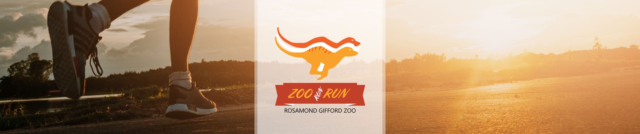 Zoo Run Run